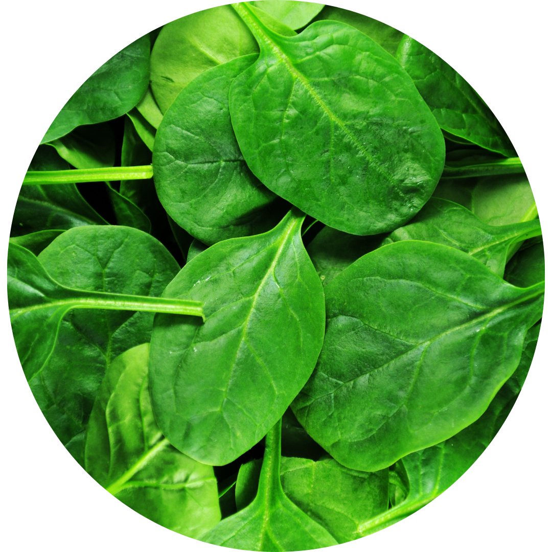 Migradex - All Natural alternative to migraine prevention – Kyzex