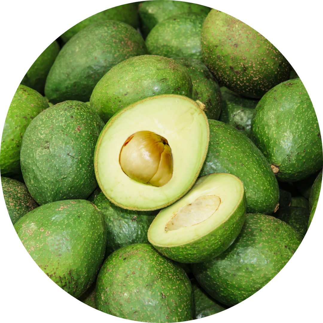 Migradex - All Natural alternative to migraine prevention – Kyzex